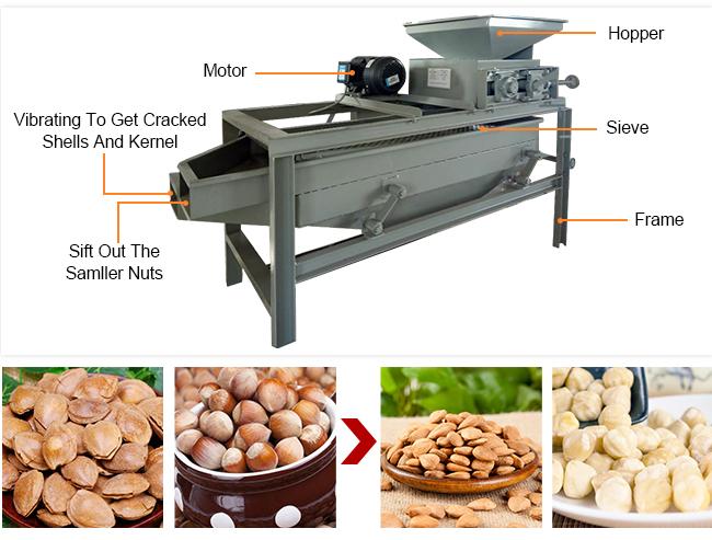 Compact Structure Peanut Processing Machine Palm Kernel Cracking Machine